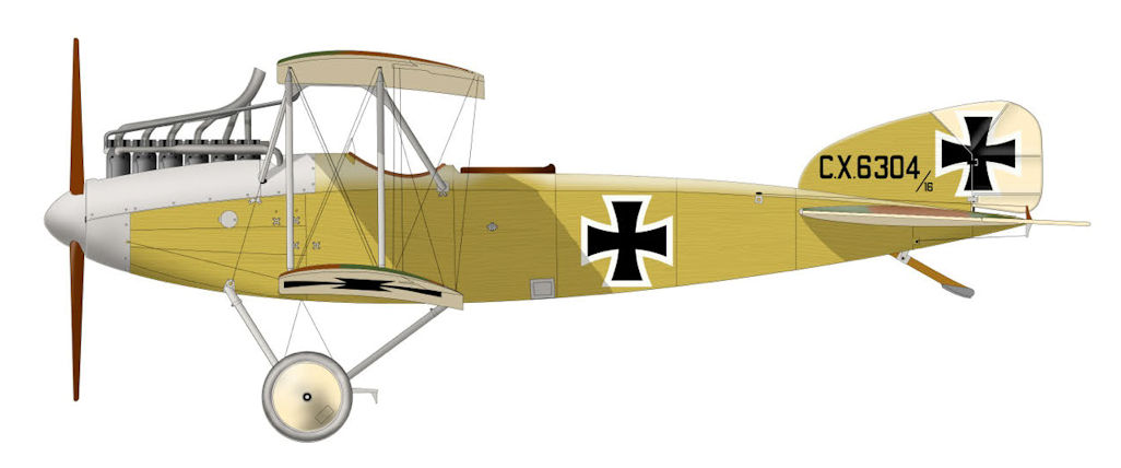 Albatros C.X