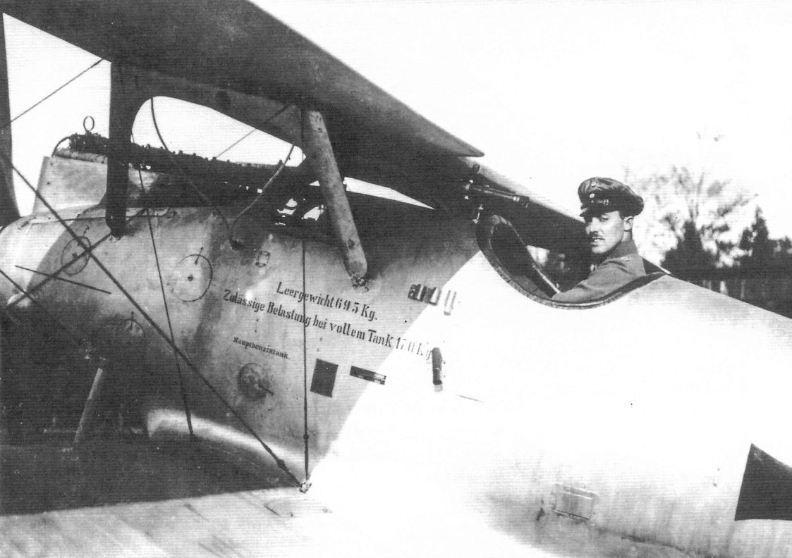 Pfalz D.III/D.IIIa