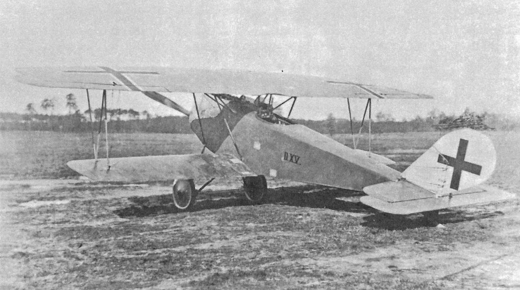 LFG Roland D.XIII/D.XV