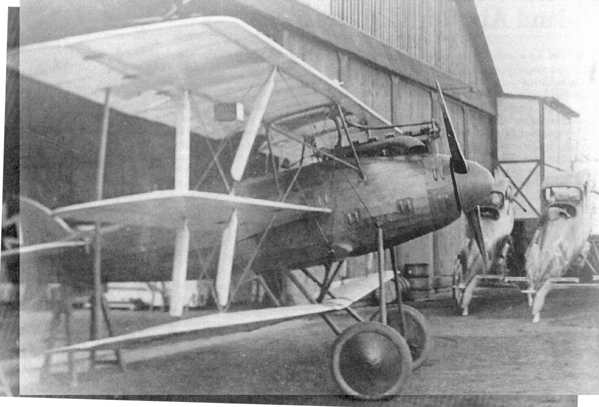 LFG Roland D.IV / Dr.I
