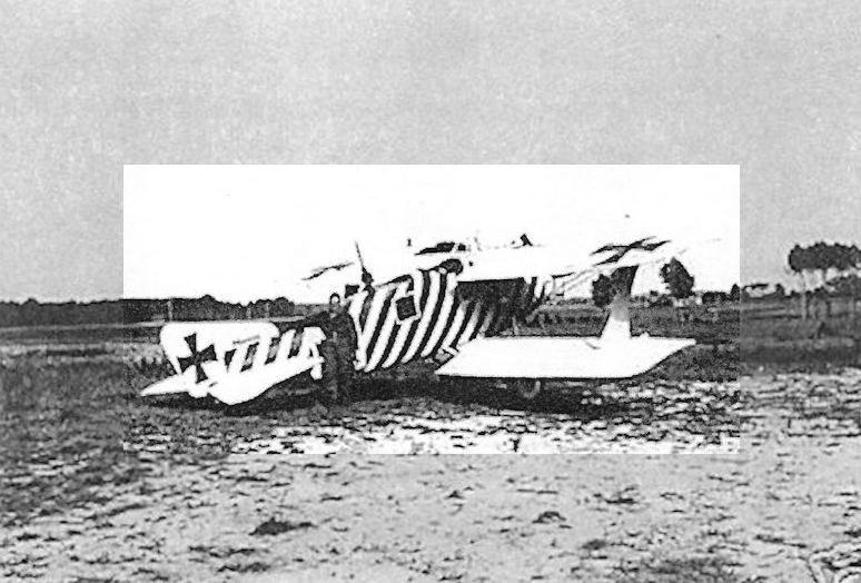LFG Roland C.II