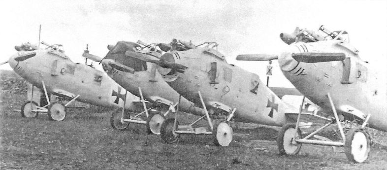 J.Herris - Roland Aircraft of WWI /Centennial Perspective/