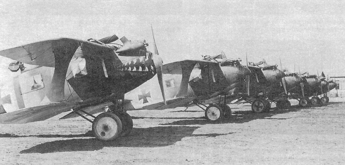 J.Herris - Roland Aircraft of WWI /Centennial Perspective/