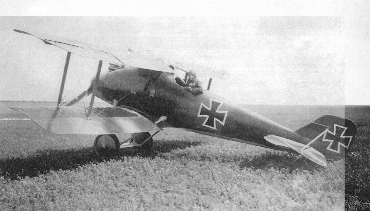 LFG Roland D.II