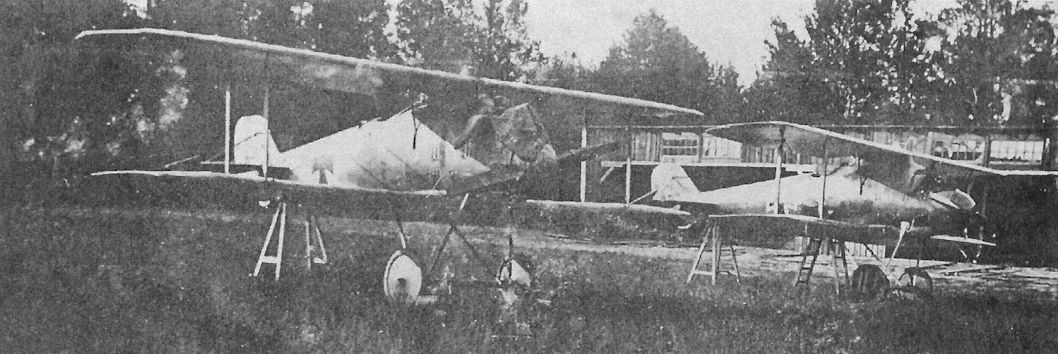 LFG Roland D.II