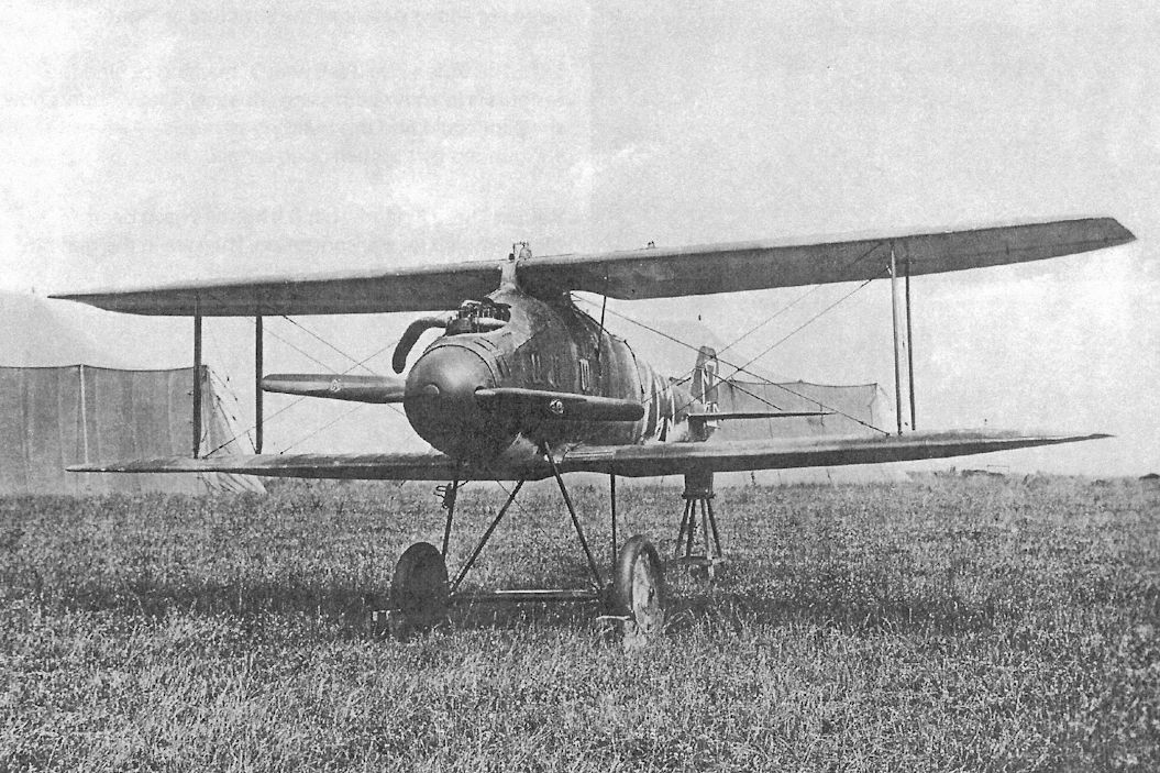 LFG Roland D.II