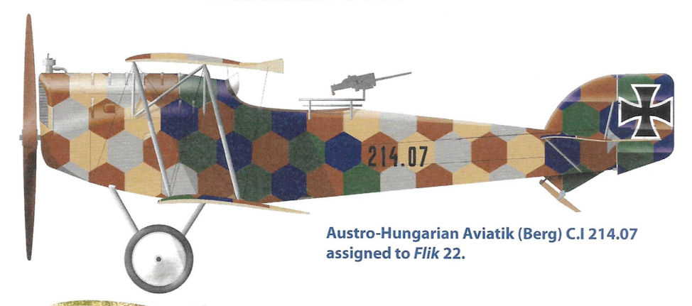 J.Herris - Aviatik Aircraft of WWI /Centennial Perspective/ (10)