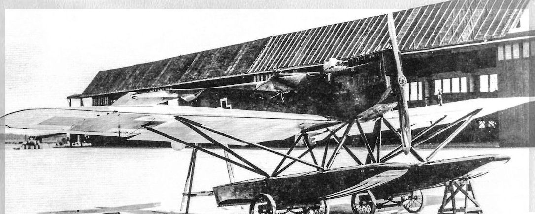 Hansa-Brandenburg W.29