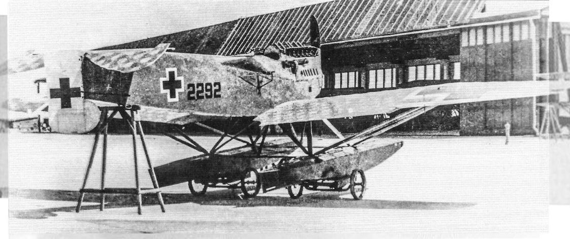 Hansa-Brandenburg W.29