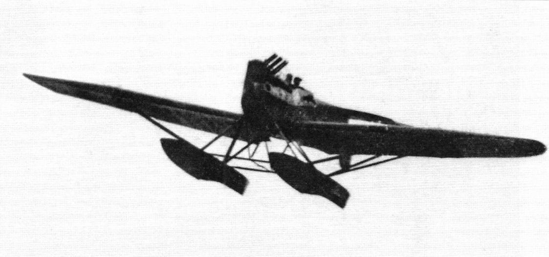 Hansa-Brandenburg W.29