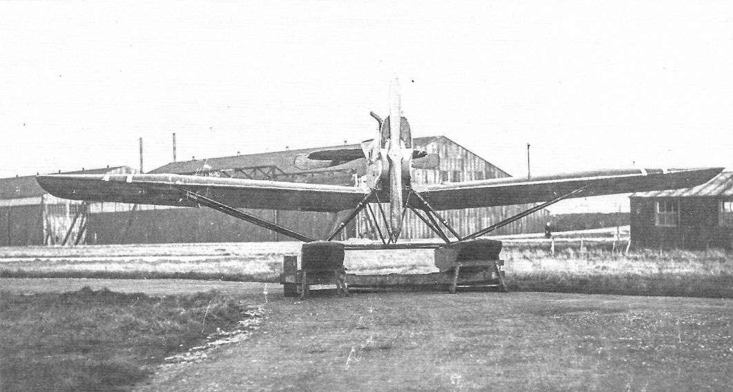 Hansa-Brandenburg W.29