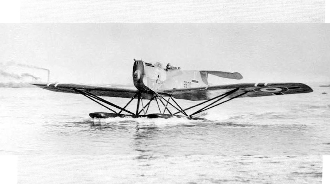 Hansa-Brandenburg W.29
