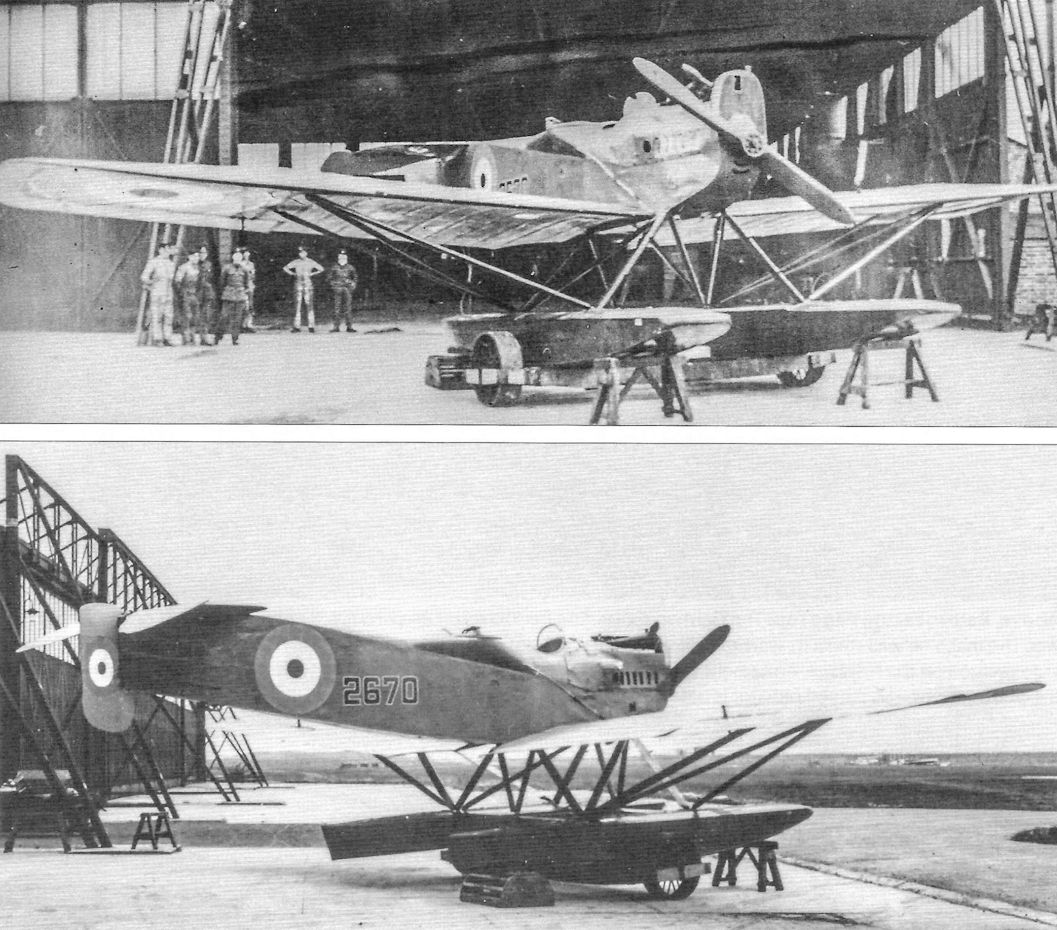 Hansa-Brandenburg W.29