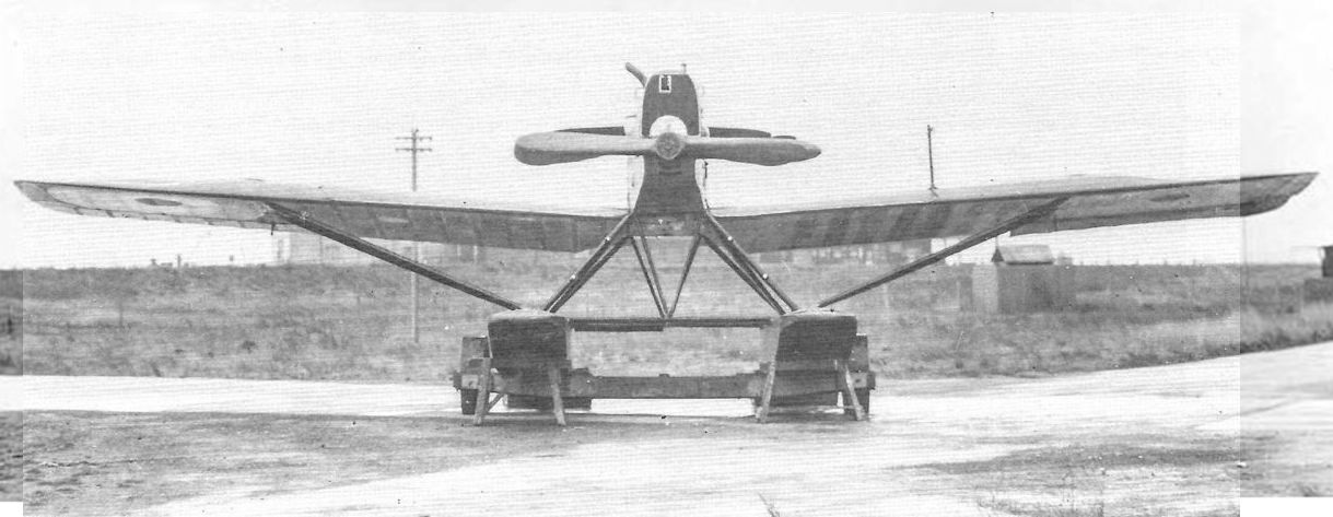 Hansa-Brandenburg W.29