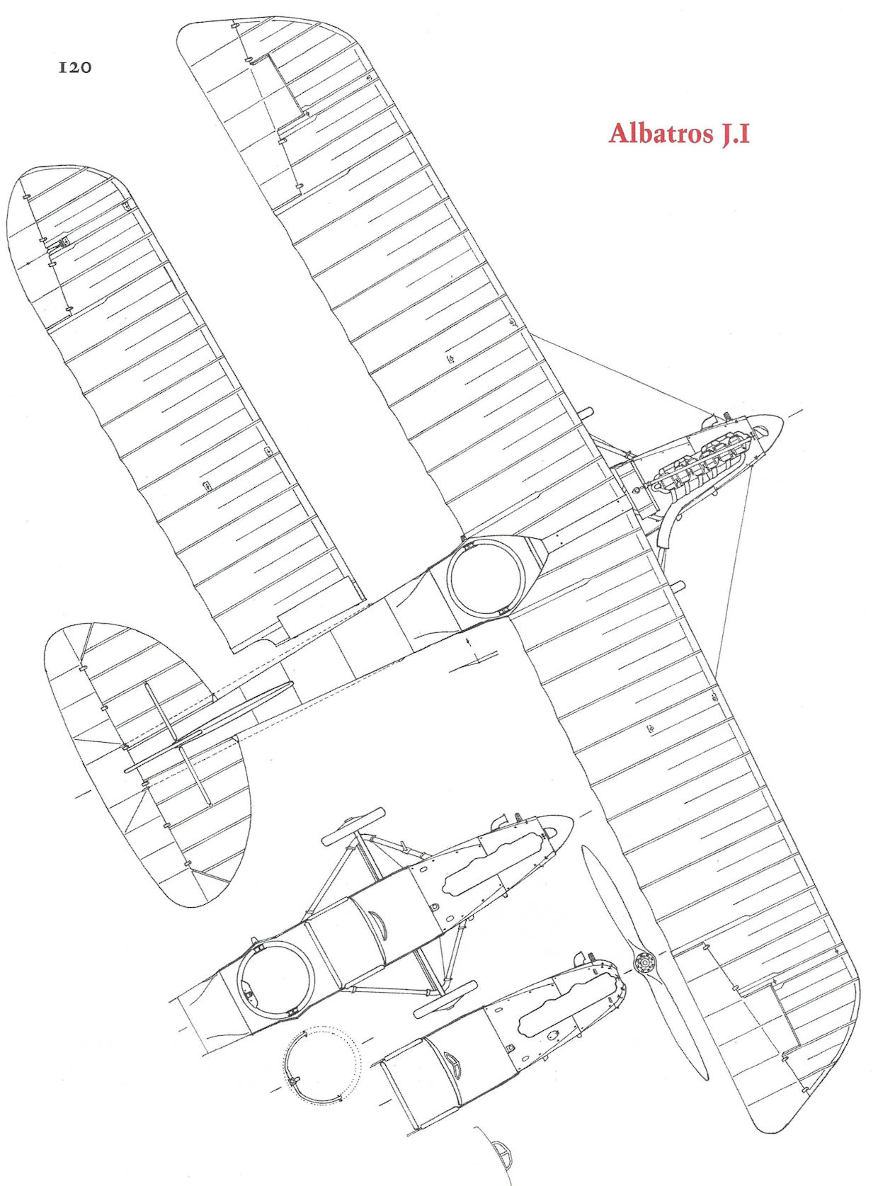 Albatros J.I