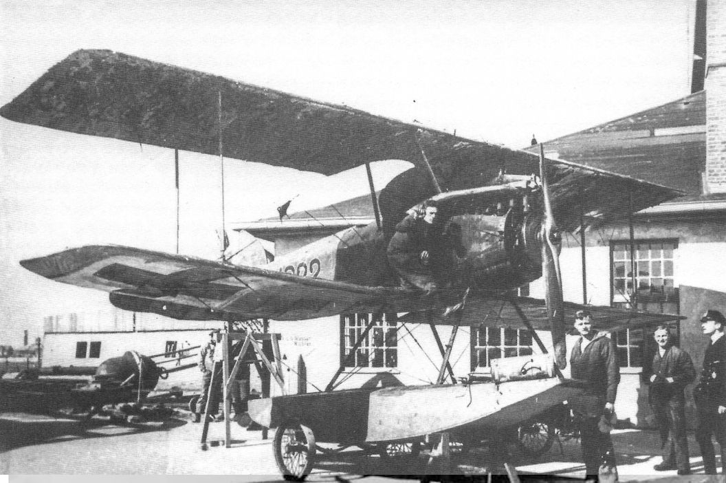 Albatros W.4