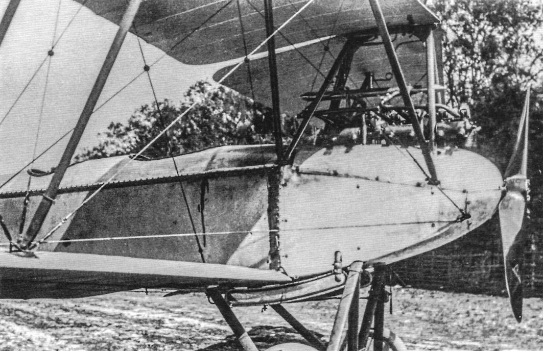 J.Herris - DFW Aircraft of WWI /Centennial Perspective/