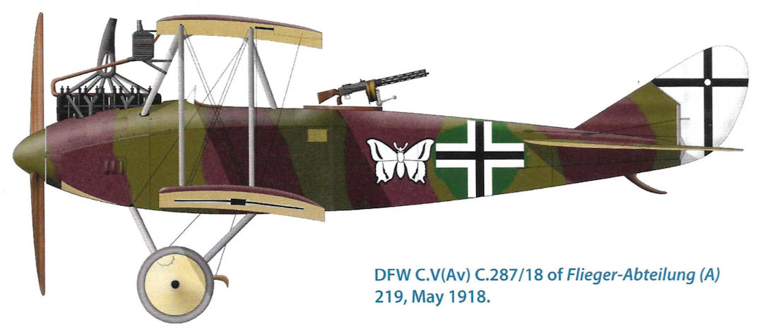J.Herris - DFW Aircraft of WWI /Centennial Perspective/