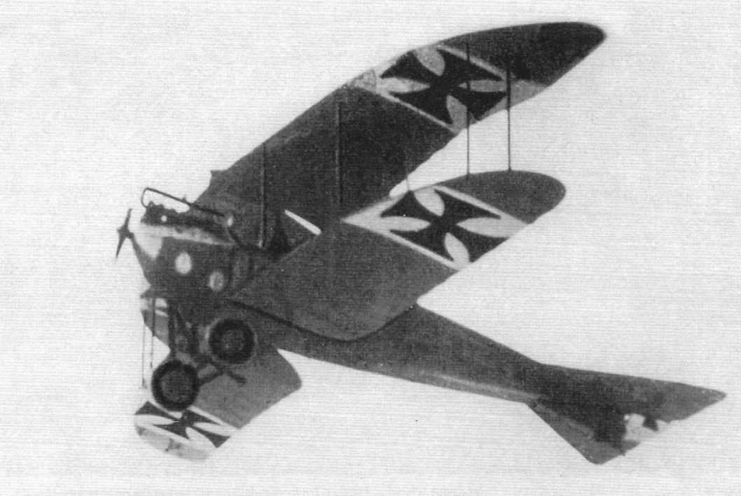 J.Herris - DFW Aircraft of WWI /Centennial Perspective/