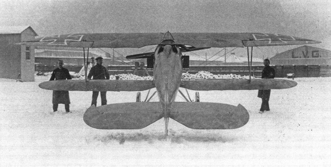 LVG D.II