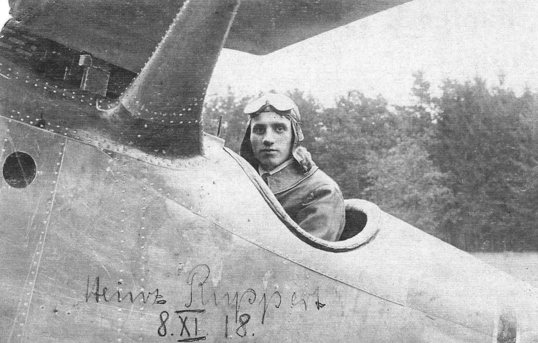 Zeppelin-Lindau (Dornier) D.I