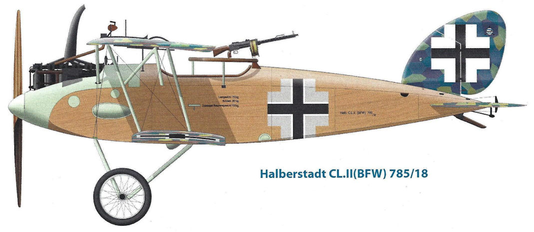 Halberstadt CL.II/CL.IIa