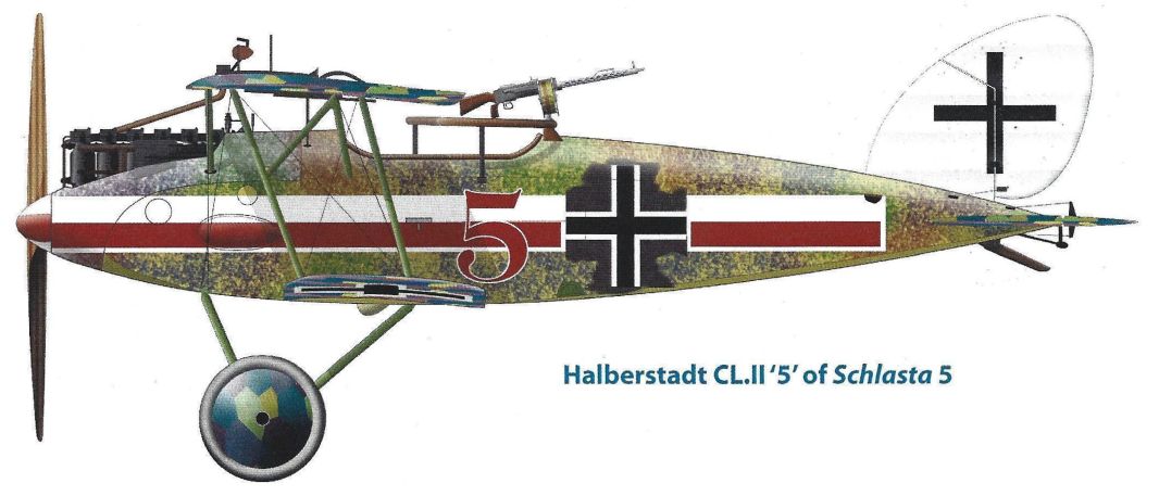 Halberstadt CL.II/CL.IIa