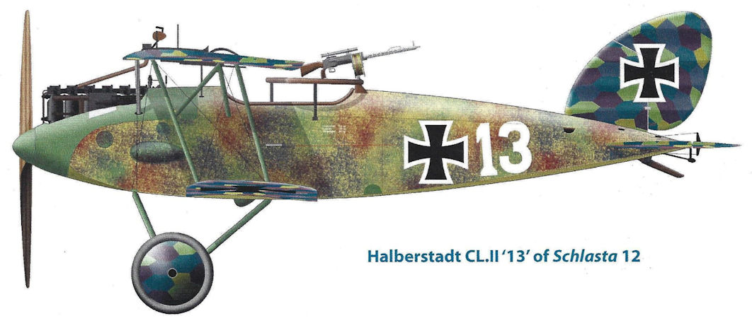 Halberstadt CL.II/CL.IIa