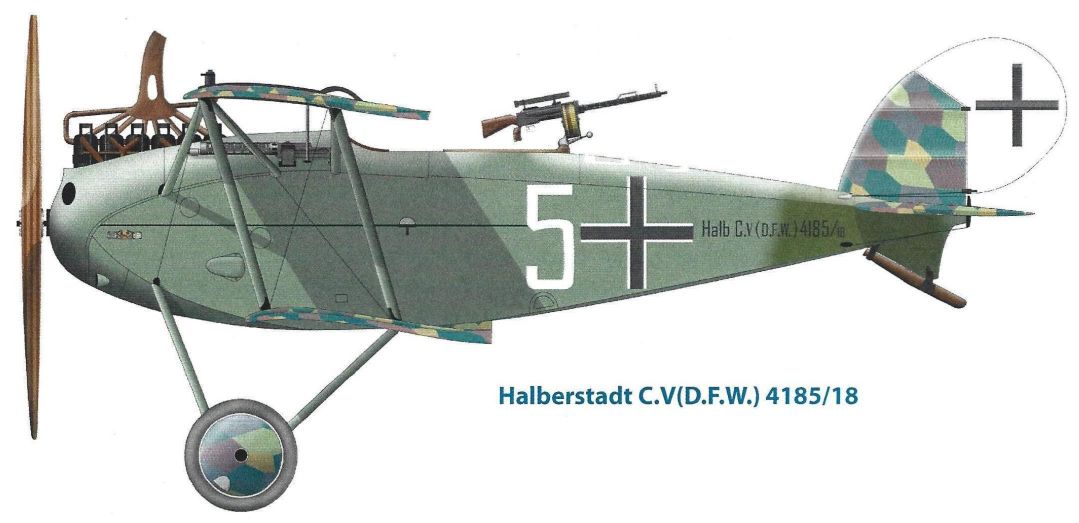 Halberstadt C.V/C.IX