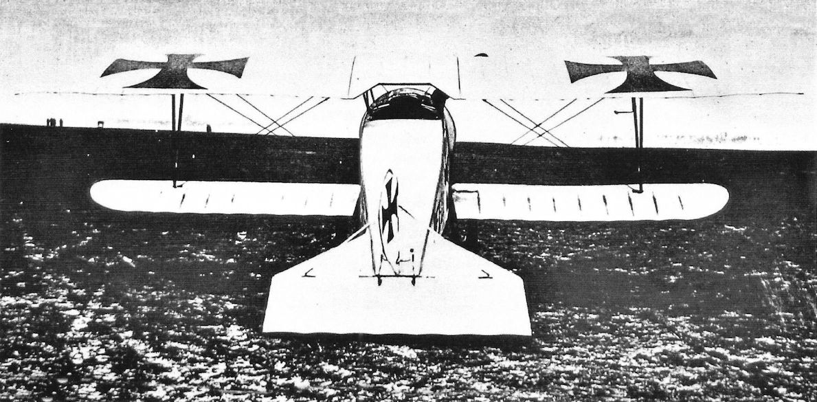 Rex Flugmaschine D 17
