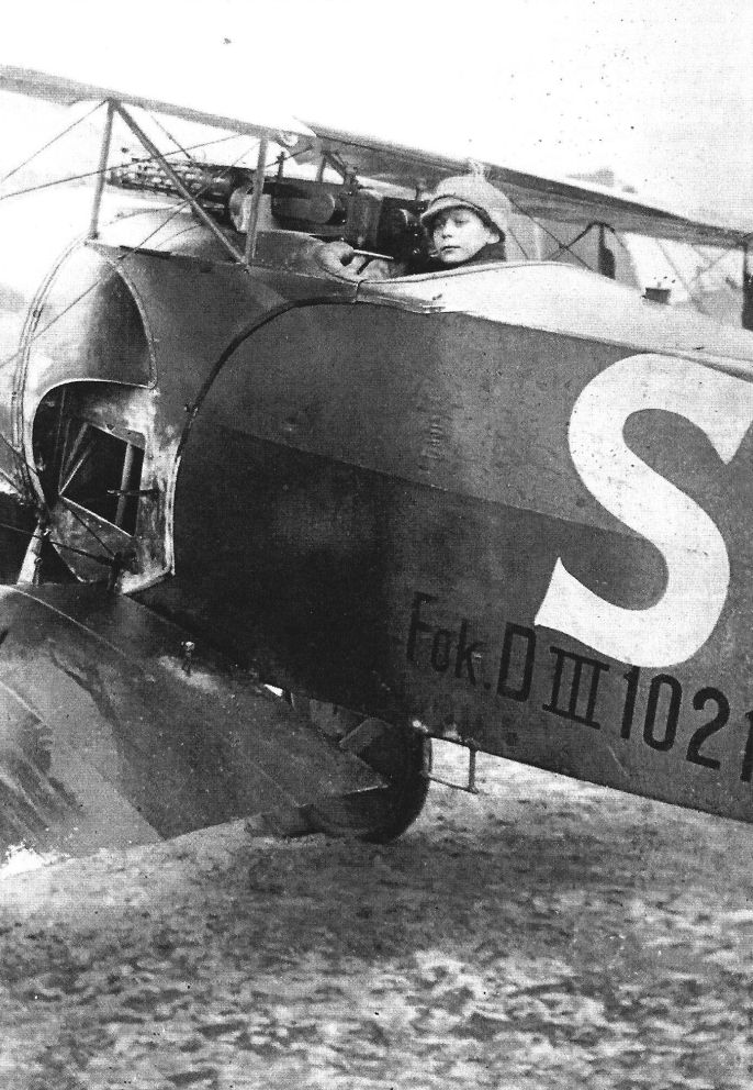 Fokker D.III / M.19