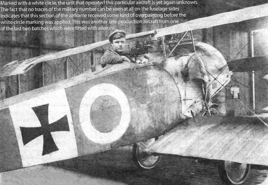 Fokker D.III / M.19