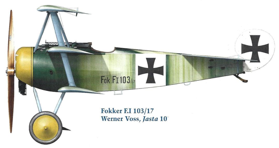 Fokker Dr.I (Fokker Dreidecker) / V4 / V5 / V7