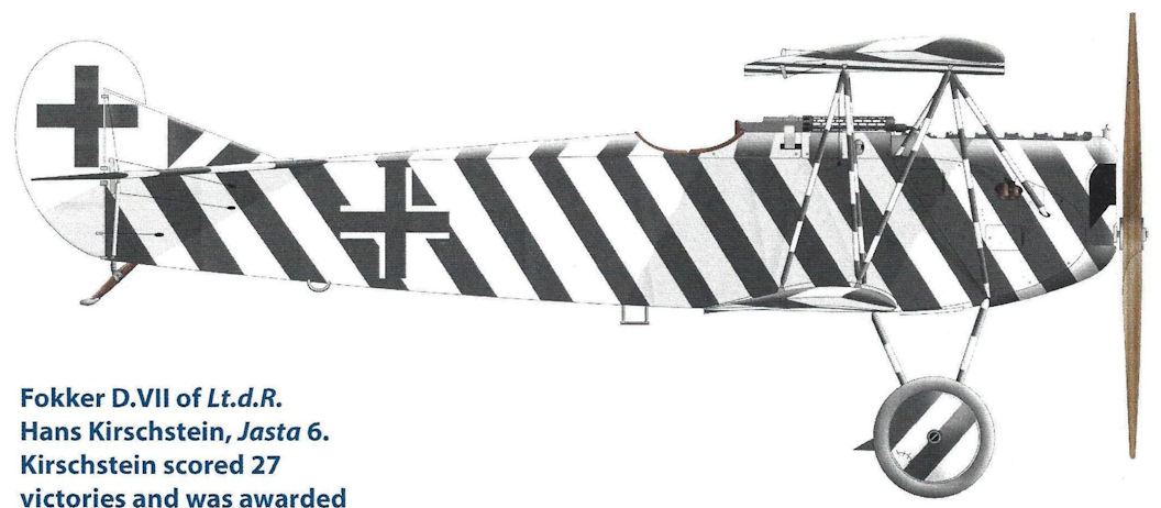 J.Herris, J.Leckscheid - Fokker Aircraft of WWI. Vol.5: 1918 Designs ...