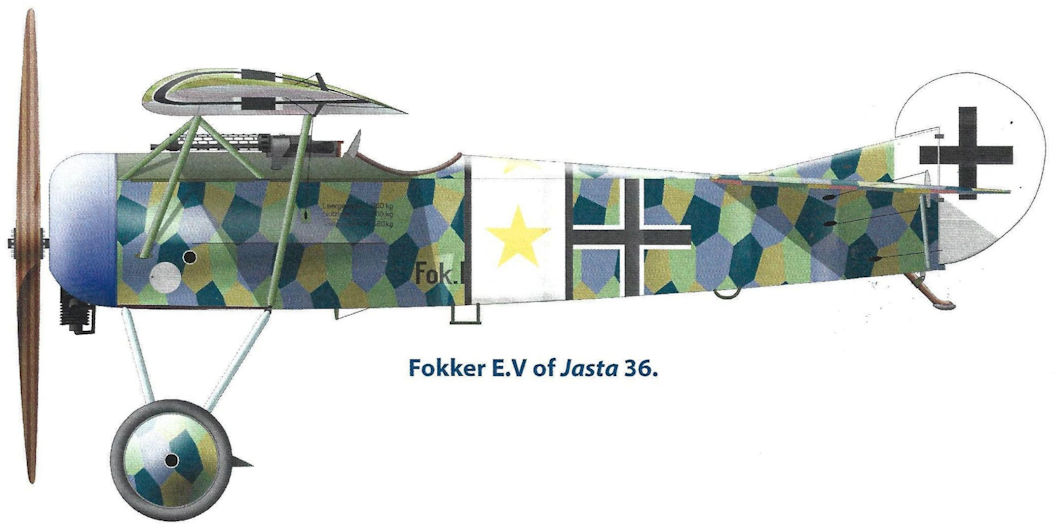 Fokker E.V/D.VIII
