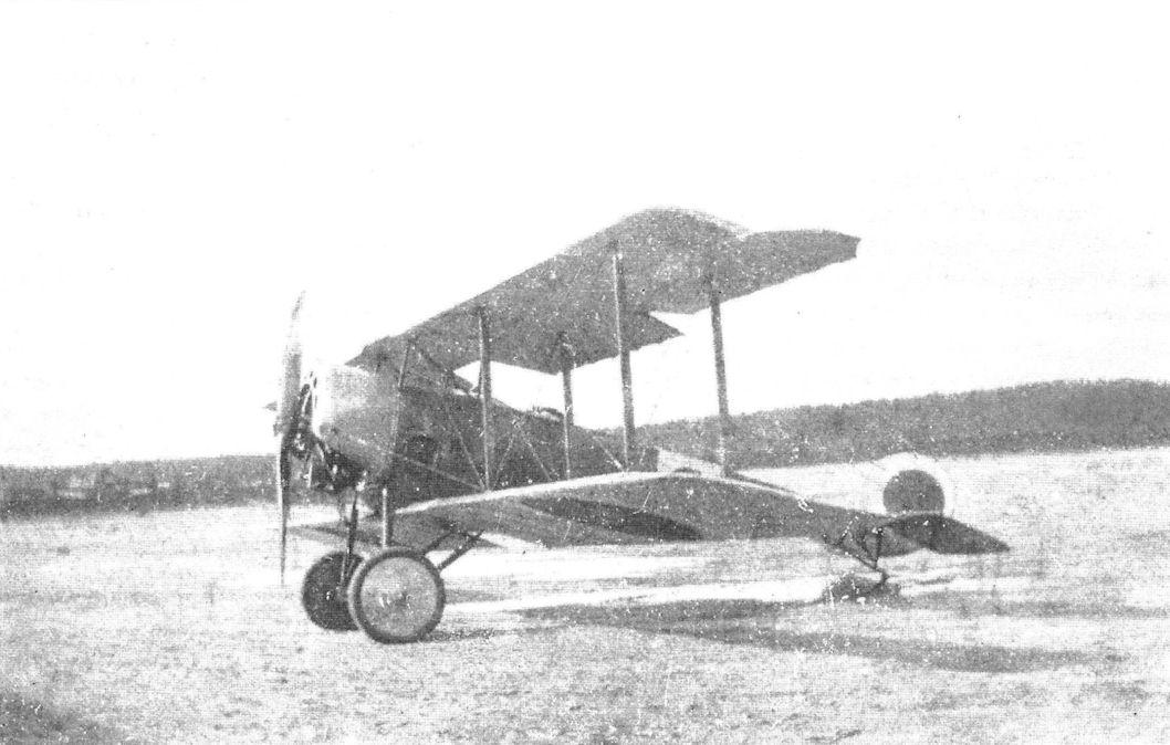 Fokker D.III / M.19