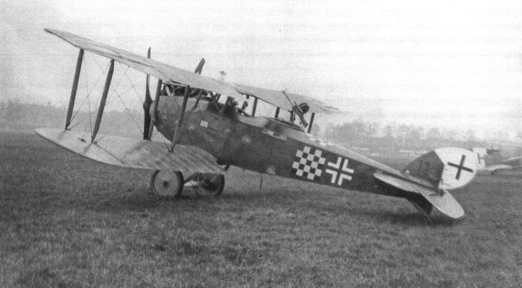 M.Dusing - German & Austro-Hungarian Aero Engines of WWI. Vol.1 ...