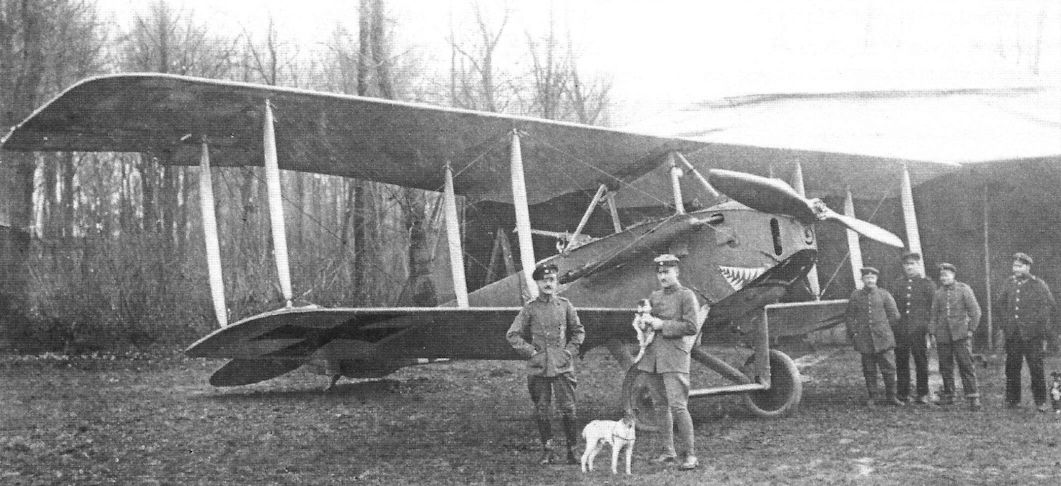 M.Dusing - German & Austro-Hungarian Aero Engines of WWI. Vol.2 ...