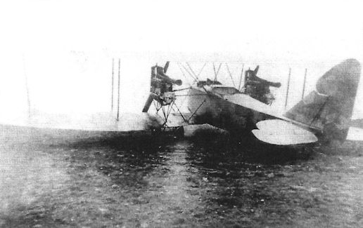 M.Dusing - German & Austro-Hungarian Aero Engines of WWI. Vol.3 ...