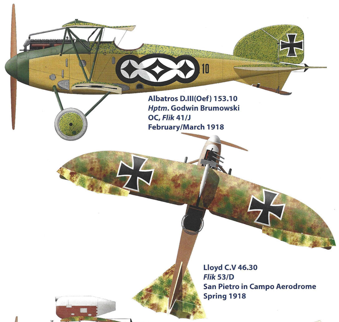 J.Davilla - Italian Aviation in the First World War. Vol.1: Operations ...