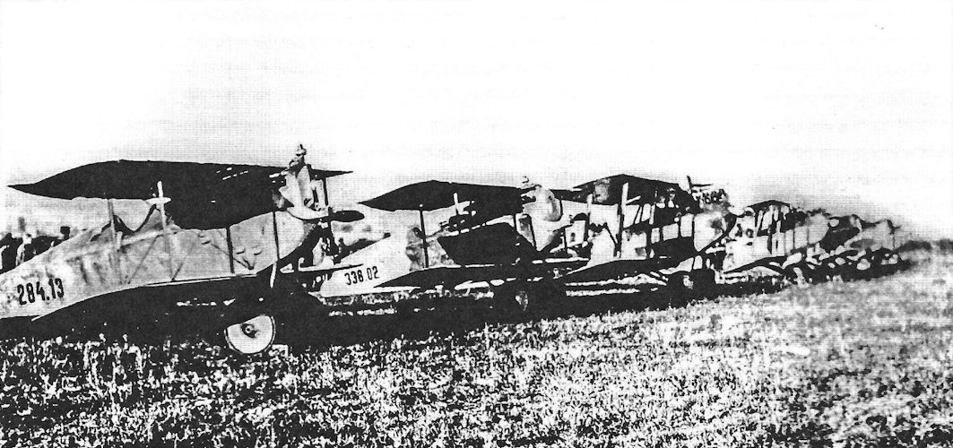 J.Davilla - Italian Aviation in the First World War. Vol.1: Operations ...