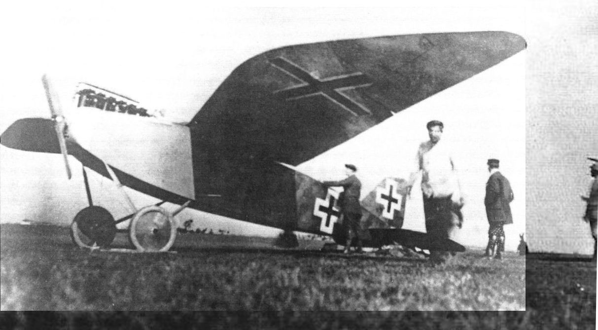 BFW monoplane