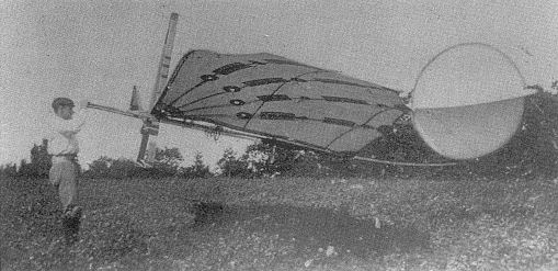 Pilcher Bat / Beetle / Gull