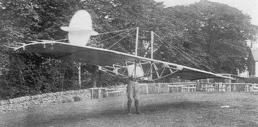 Pilcher Bat / Beetle / Gull