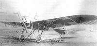 Schwade Taube